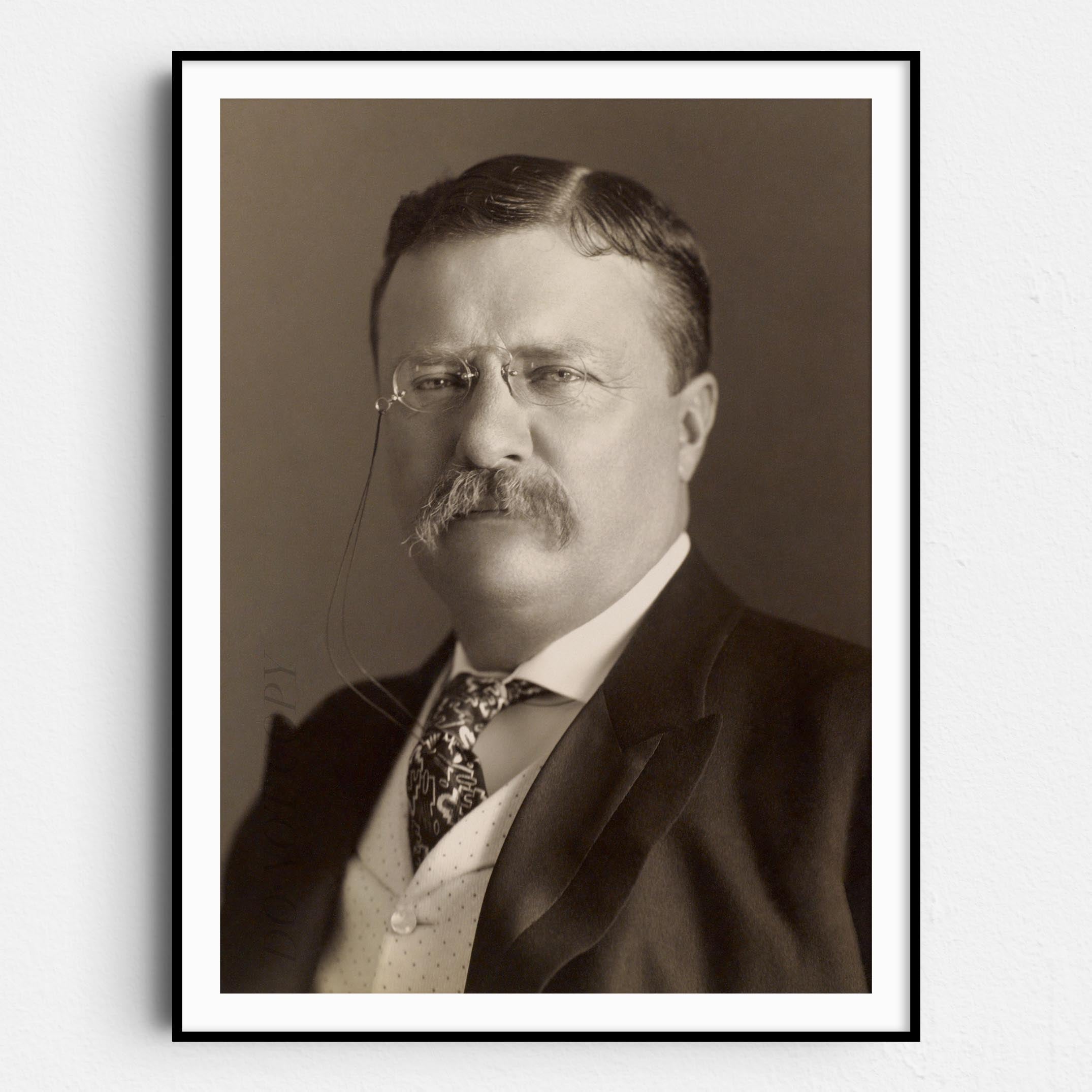 Teddy Roosevelt US President Wall Art Poster Prints – Prints Limited